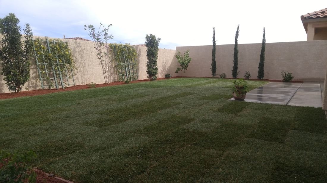 Landscape Installation