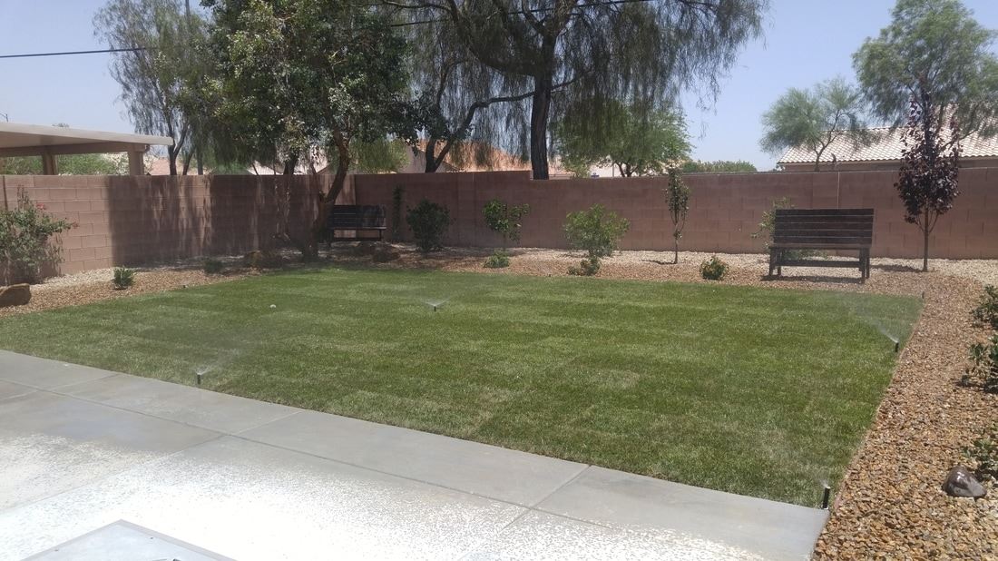 Landscape Installation