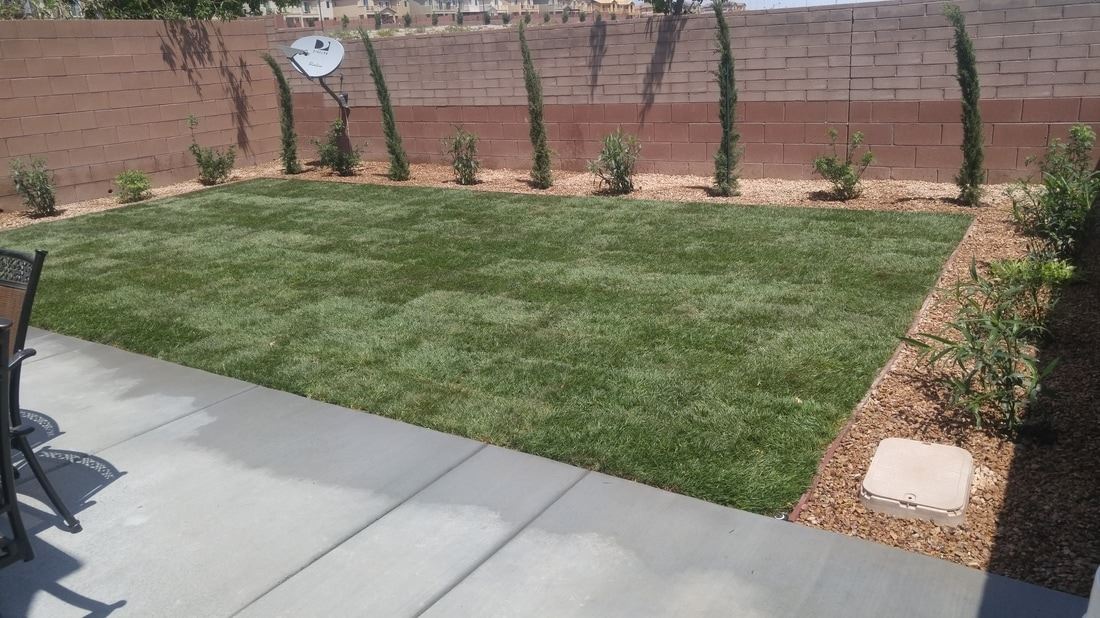 Landscape Installation