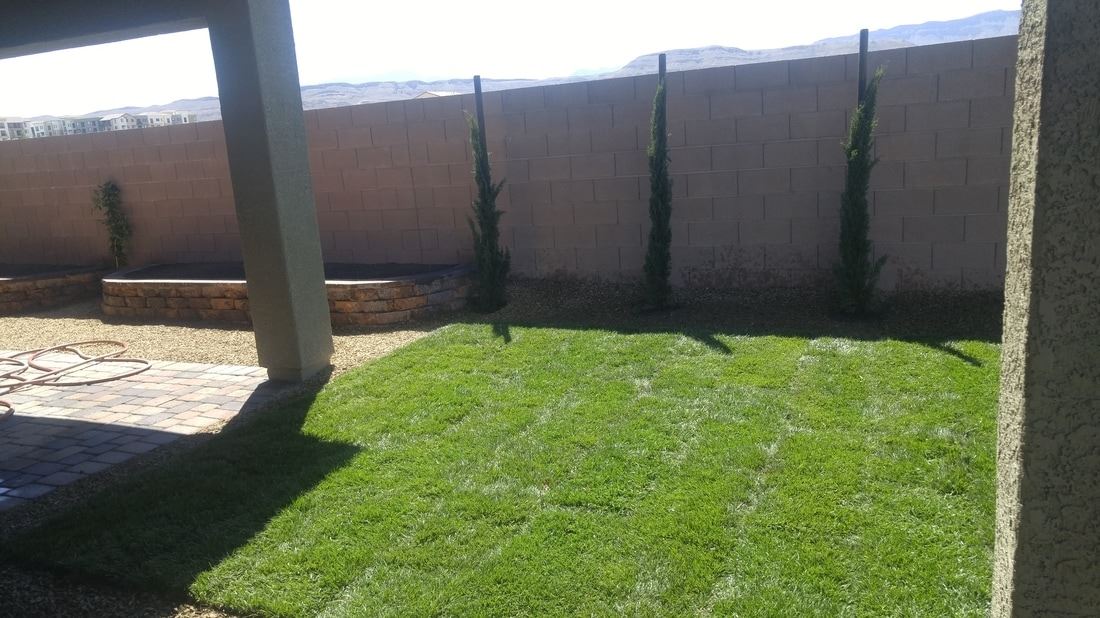 Landscape Installation