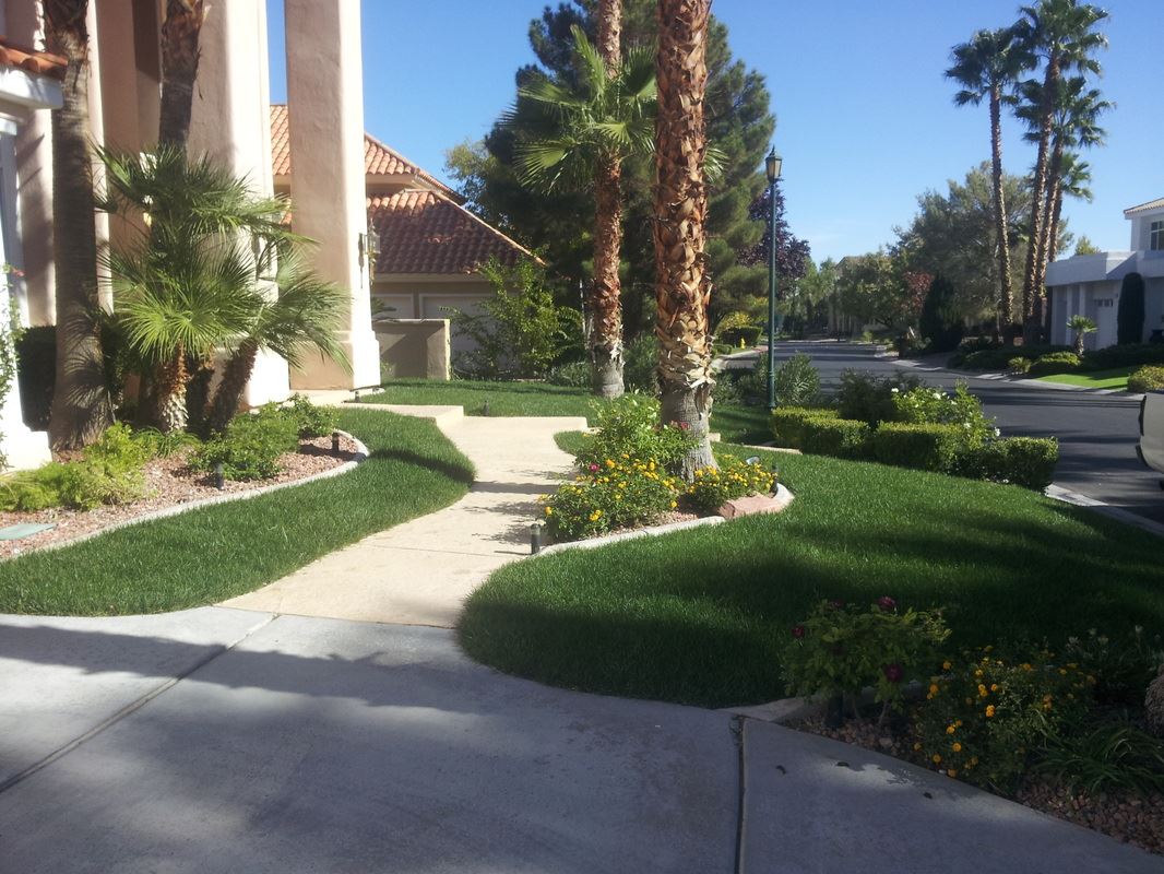 Landscape Installation